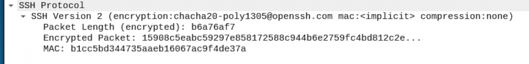 Detecting SSH brute forcing with Zeek | HoldMyBeer Detecting SSH brute forcing with Zeek | HoldMyBeer