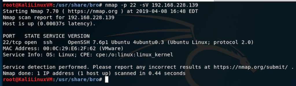 Detecting SSH brute forcing with Zeek | HoldMyBeer