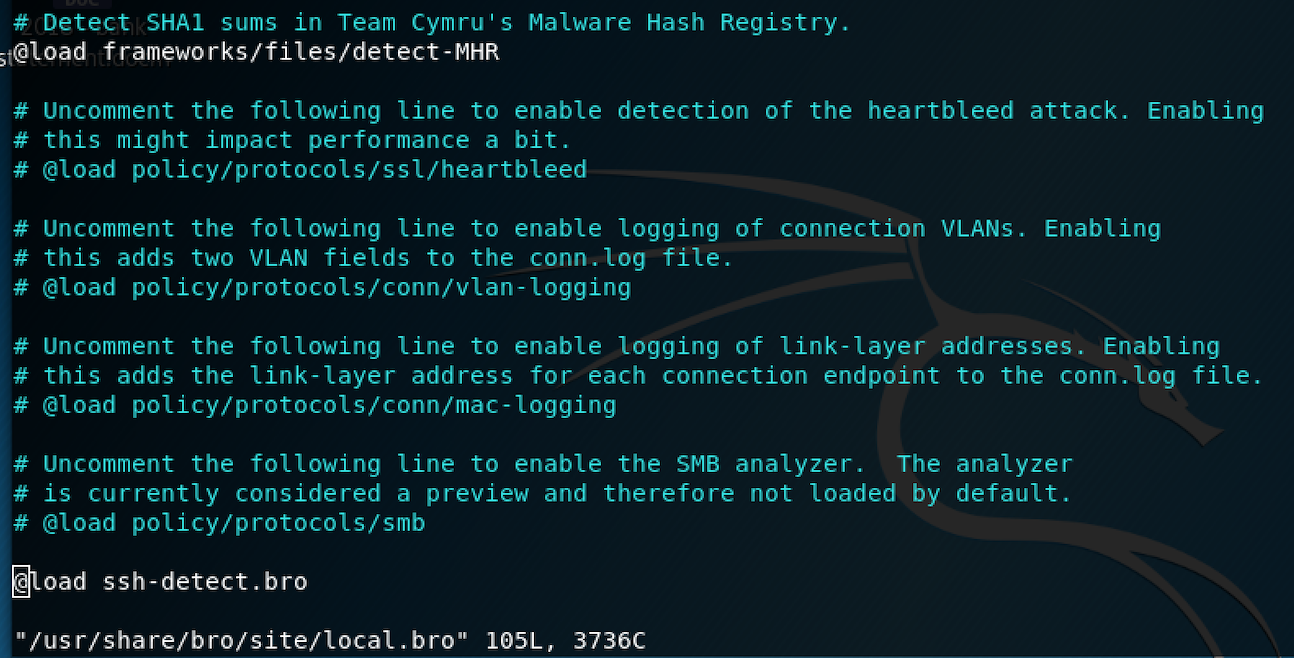 Detecting SSH brute forcing with Zeek | HoldMyBeer