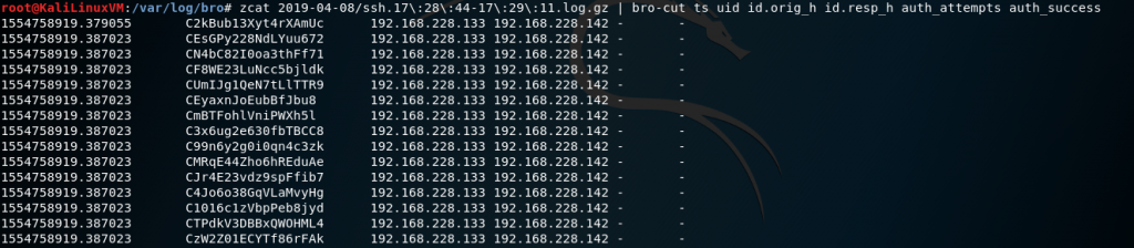Detecting SSH brute forcing with Zeek | HoldMyBeer Detecting SSH brute forcing with Zeek | HoldMyBeer
