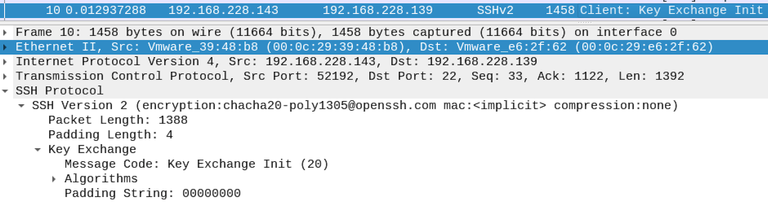 Detecting SSH brute forcing with Zeek | HoldMyBeer