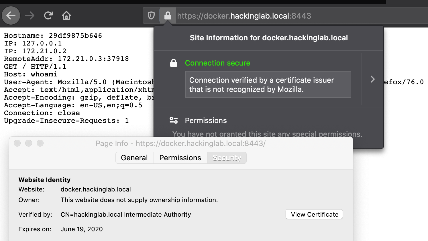 Install/Setup Vault for PKI + NGINX + Docker – Becoming your own CA | HoldMyBeer