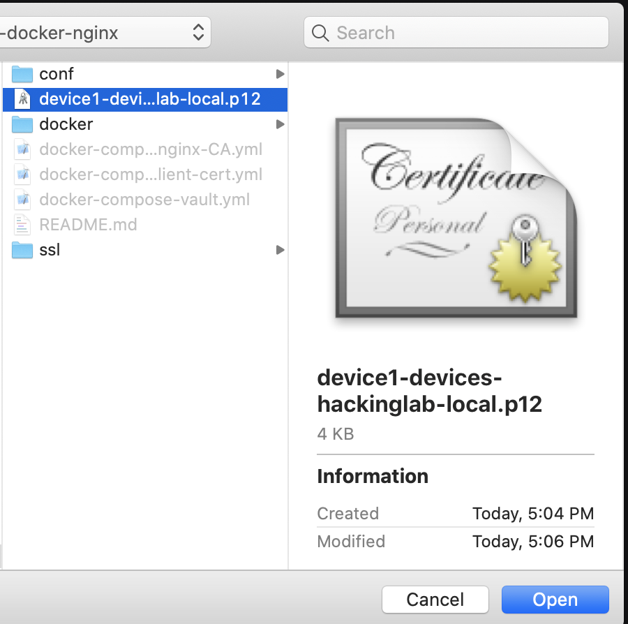 Install/Setup Vault for PKI + NGINX + Docker – Becoming your own CA | HoldMyBeer