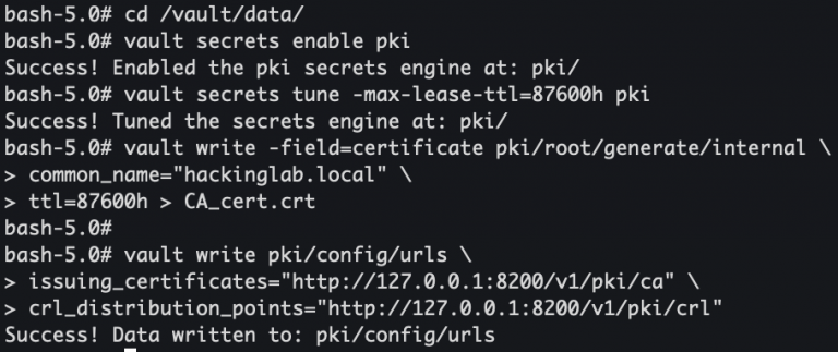 Install/Setup Vault for PKI + NGINX + Docker – Becoming your own CA | HoldMyBeer