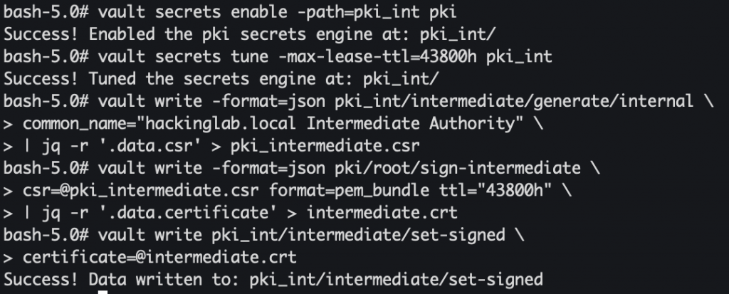 Install/Setup Vault for PKI + NGINX + Docker – Becoming your own CA | HoldMyBeer