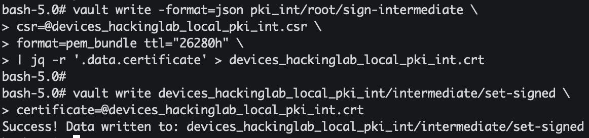 Install/Setup Vault for PKI + NGINX + Docker – Becoming your own CA | HoldMyBeer