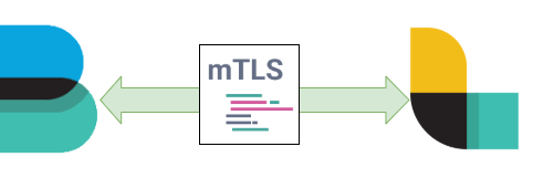 Implementing Logstash and Filebeat with mutual TLS (mTLS) | HoldMyBeer