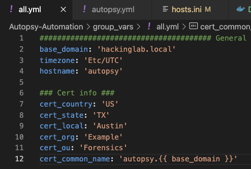 Getting started with Autopsy multi-user cluster | HoldMyBeer